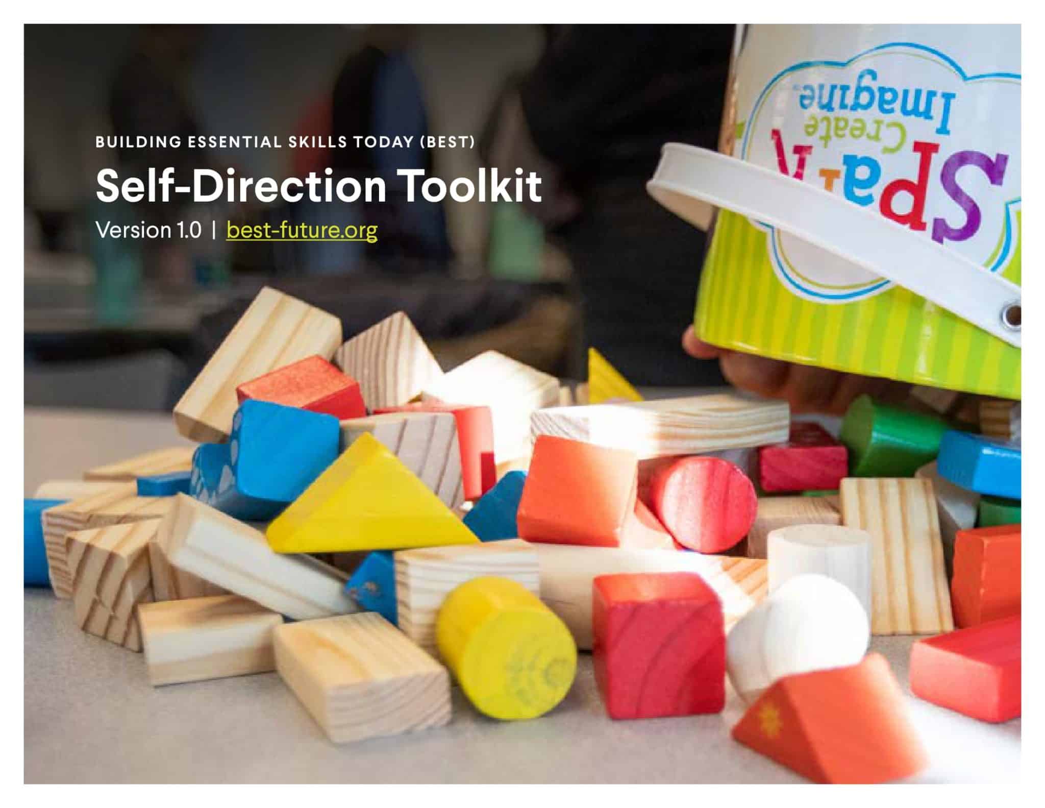 Building Habits of Success with the BEST Self-Direction Toolkit ...